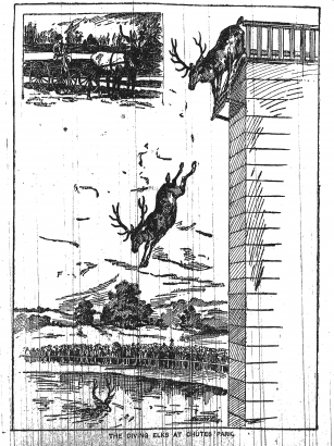 The Diving Elk of Denver's Chutes Park | Denver Public Library Special ...